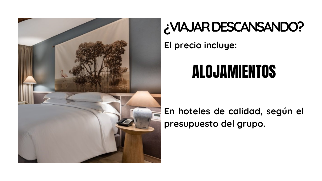 Tours & Experience – Agencia de Viajes